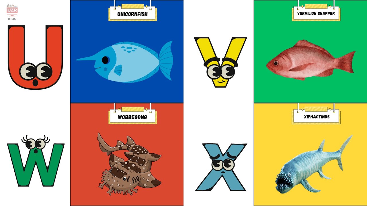 A to Z Sea Creatures Song | Learn Ocean Animals Alphabet for Kids 🌊 | # ...