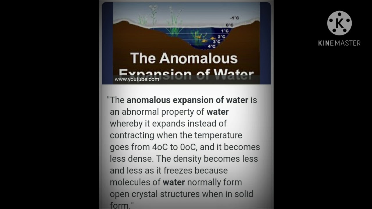 Anomalous Behaviour Of Water YouTube anomalous-behaviour-of-water-youtube