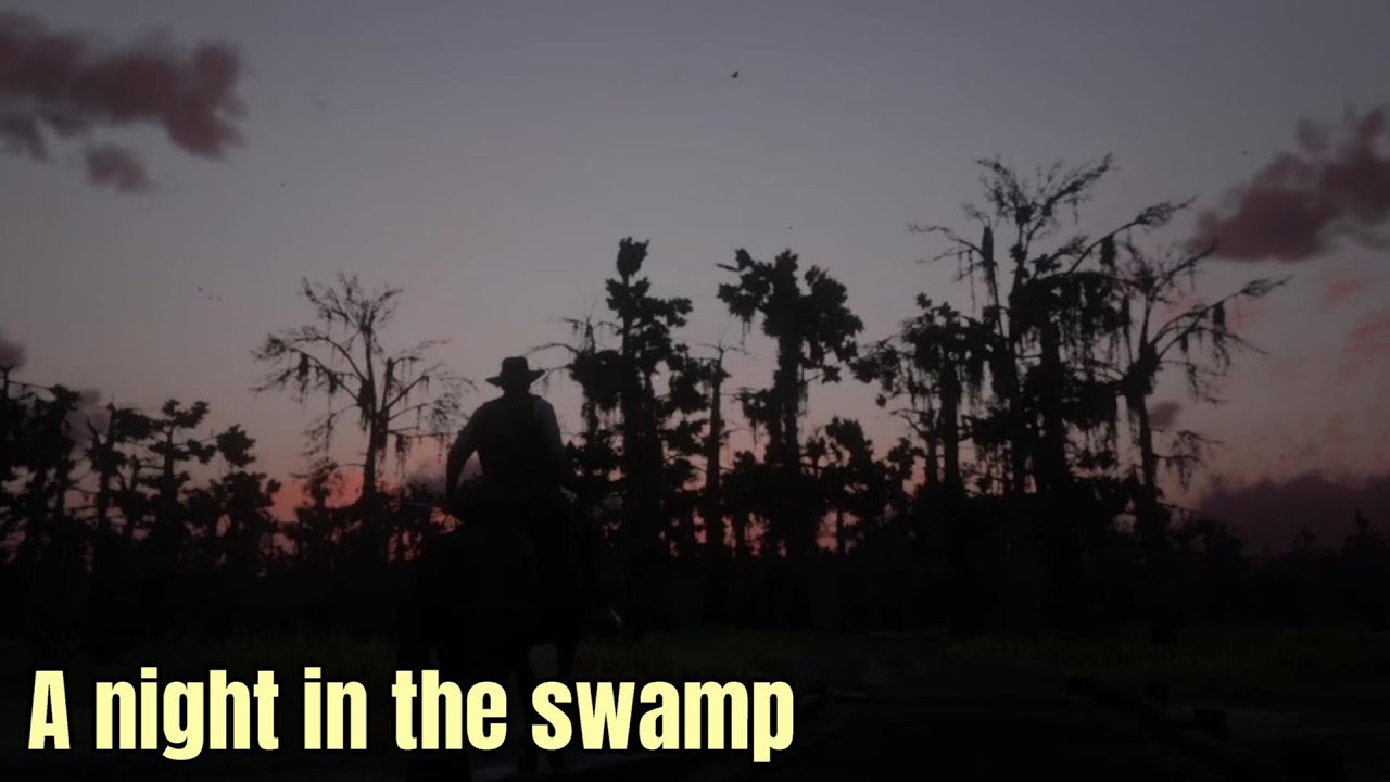 Snakes, Gators, Panther, Egrets, and Night Folk- a Hunting Expedition ...