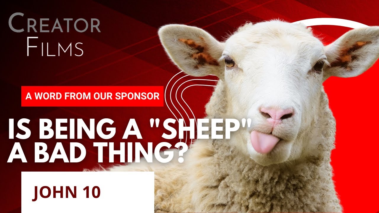 Being a Sheep... Good or Bad? - YouTube