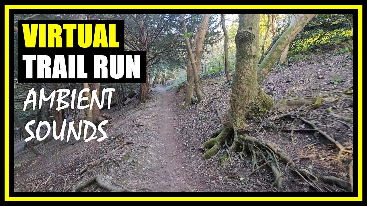 Virtual trail run - 5k trail running through woods with ambient sounds ...