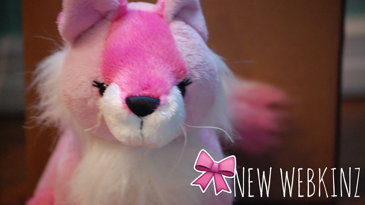 New webkinz - YouTube