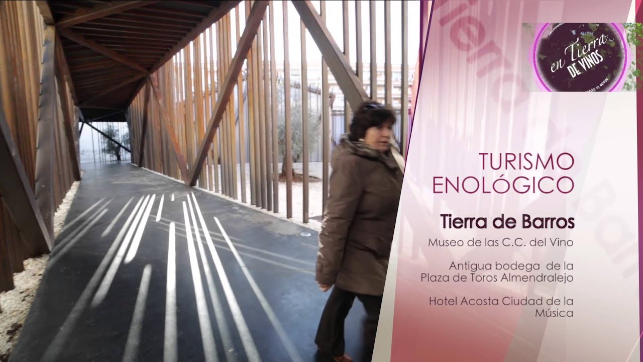 promo programa 9 - YouTube