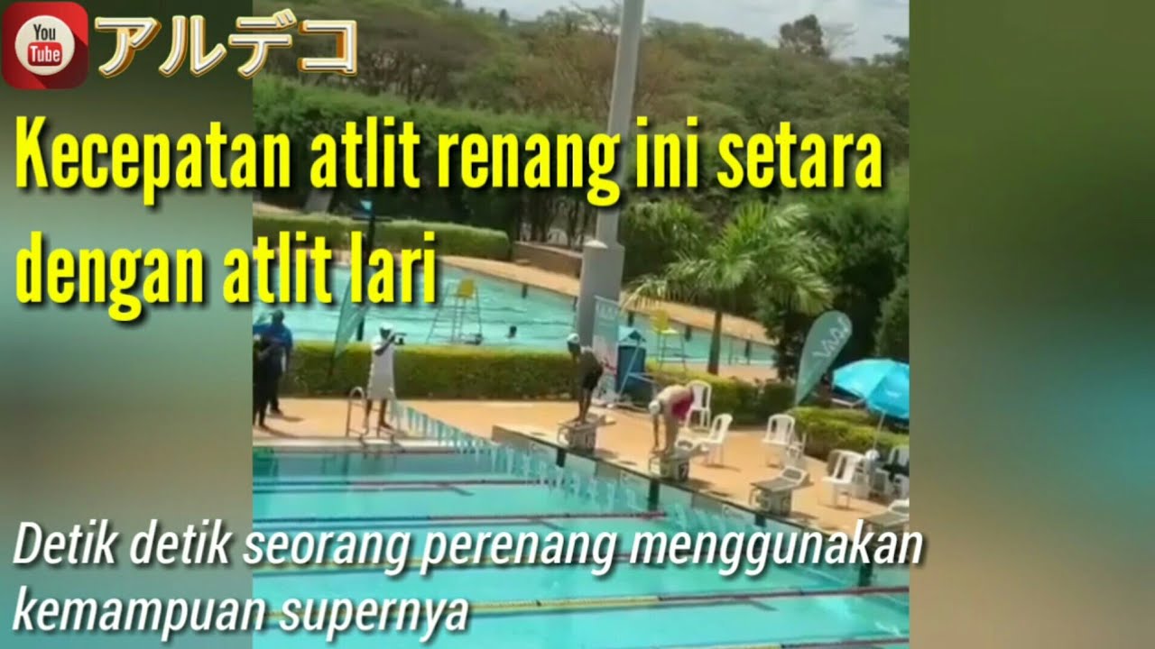 Atlit renang full speed - YouTube