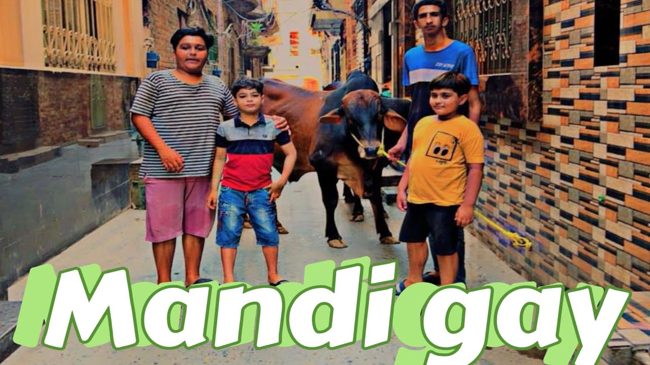 Mandi say do varay lia boht maza aya jaldi jaldi say subscribe kar do😎 ️ - YouTube