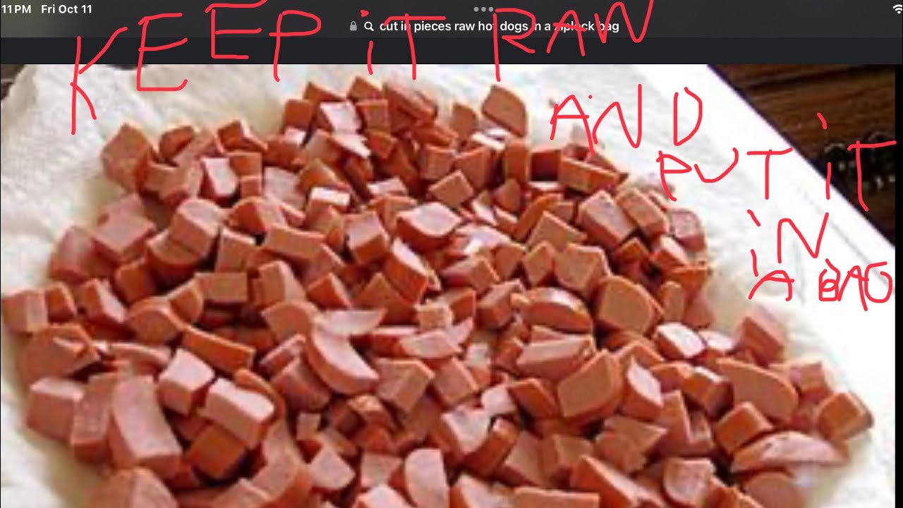 Best bait to catch random fish - YouTube