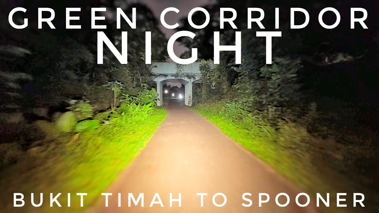 Night Cycling Green Corridor | Brompton DJI Pocket 3 #djiosmopocket3 ...