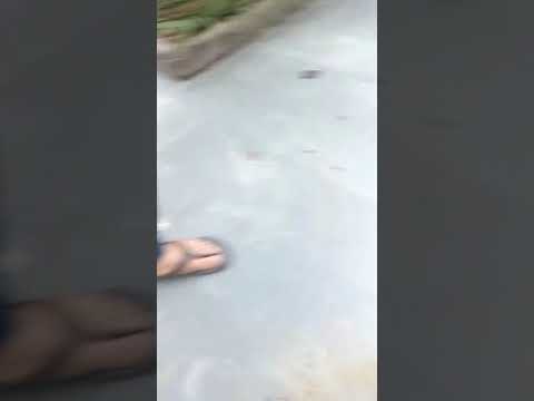video made by little Mudrik@