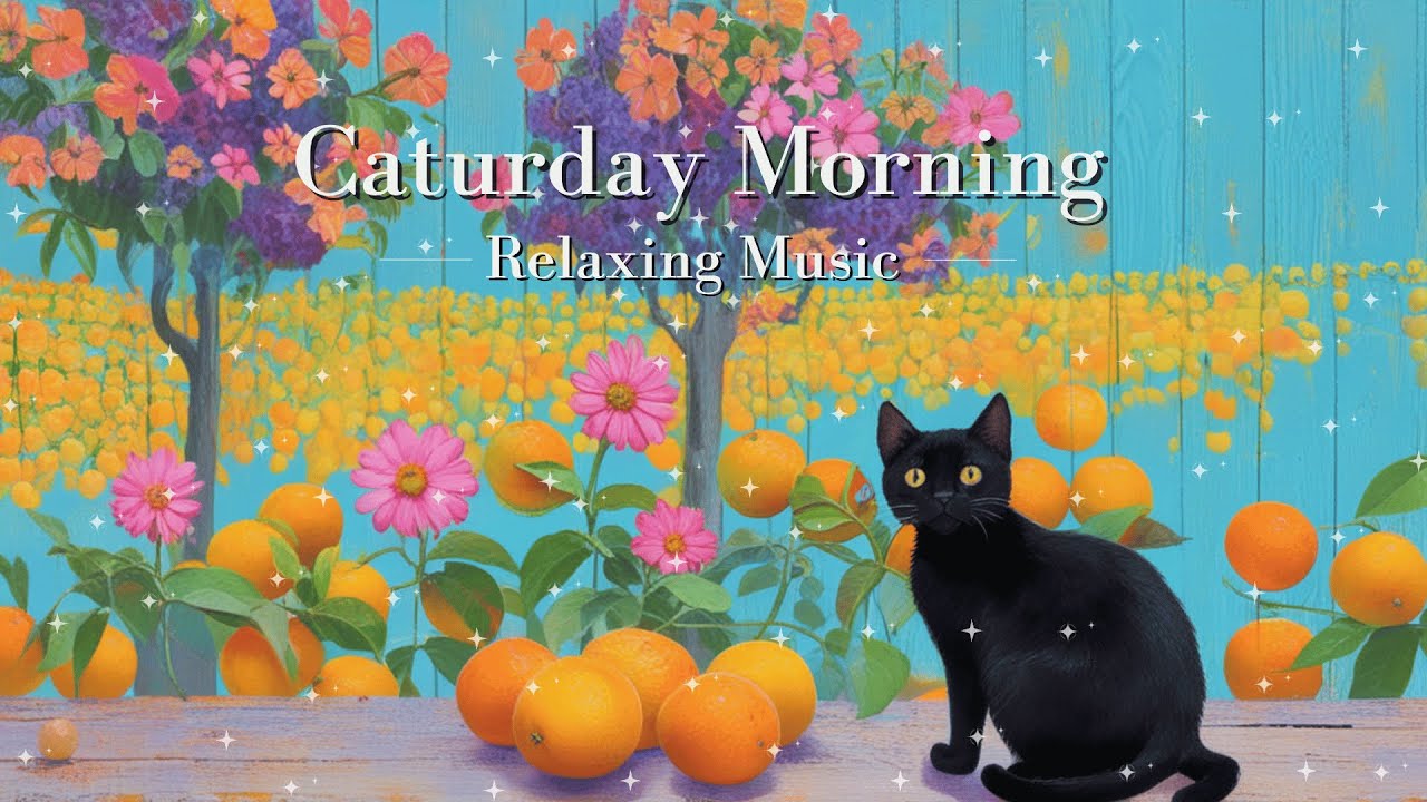【Happy Caturday!】早晨音樂 | 放鬆音樂 | 提升幸福感 | Morning Music | Relax Music ...