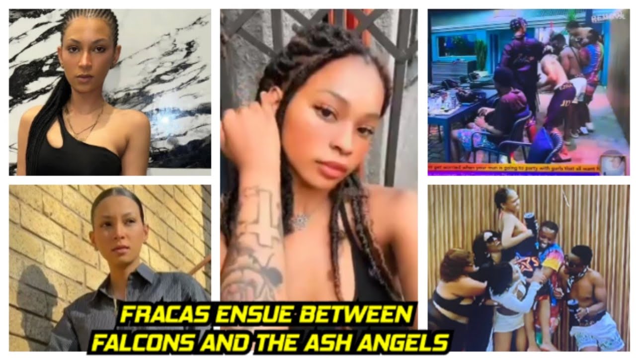 THE FALCONS CAN'T LET THE ASH ANGELS OFF THEIR LIPS AS FIG*HT ENSUE ...