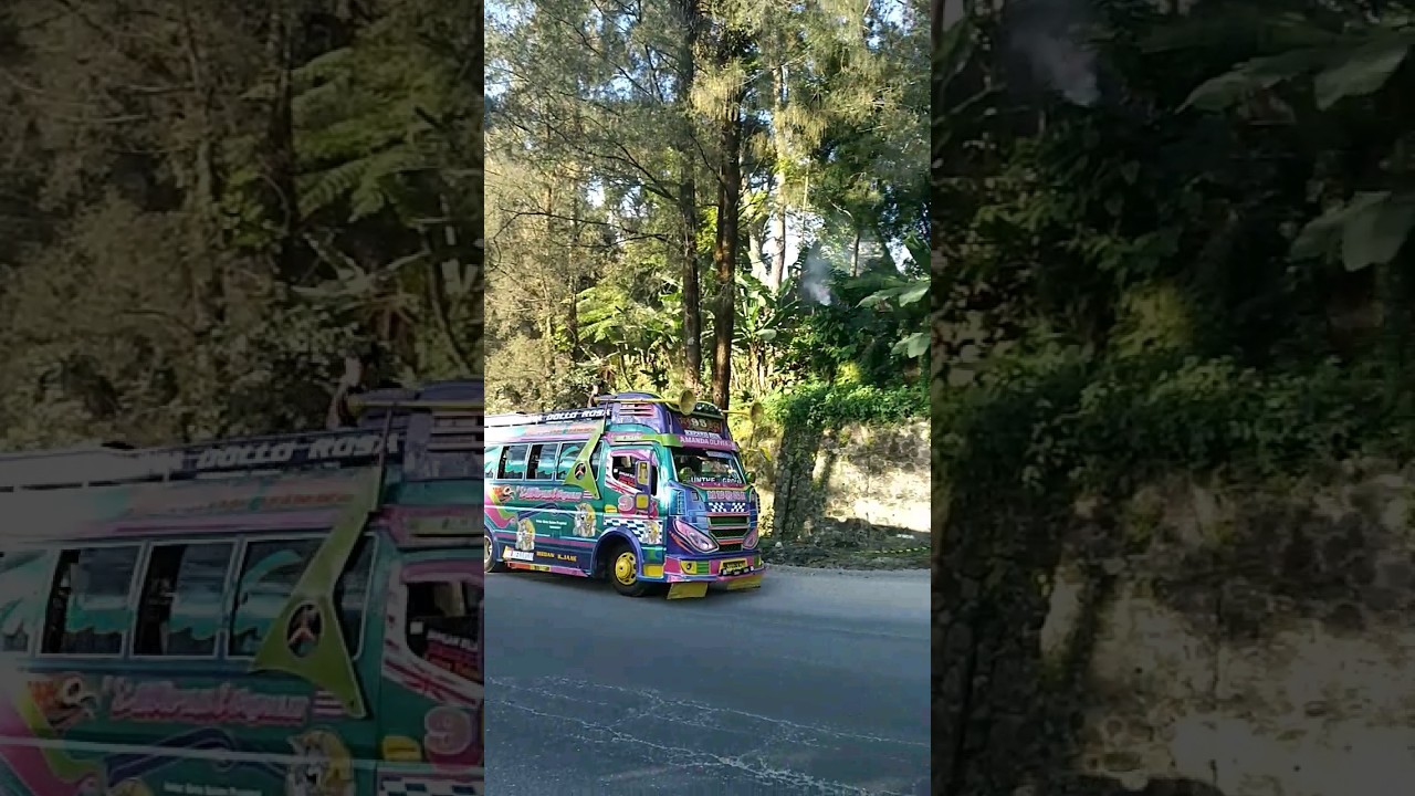 Hello Bus Gunung MURNI Expres Tp Semangat dan Semua lancar #lintas # ...