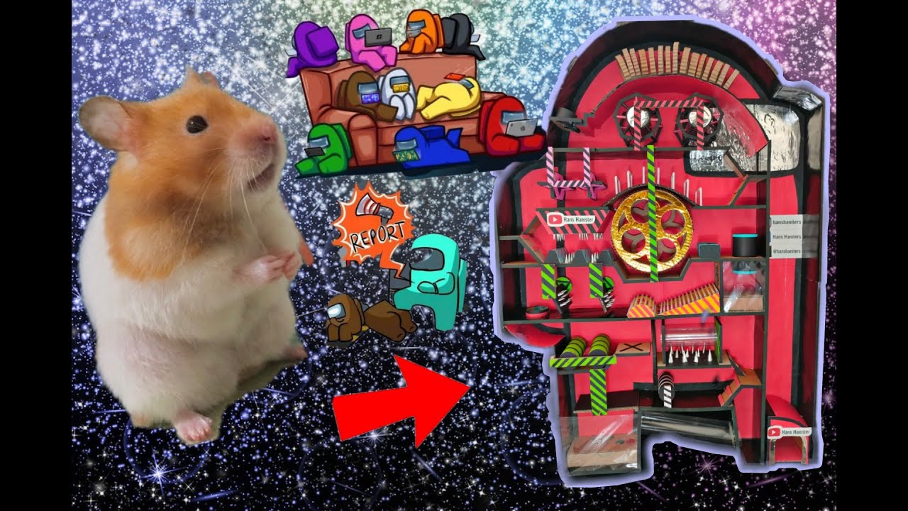 Hamster maze Among Us | hamster escape from the maze shape Among Us ...