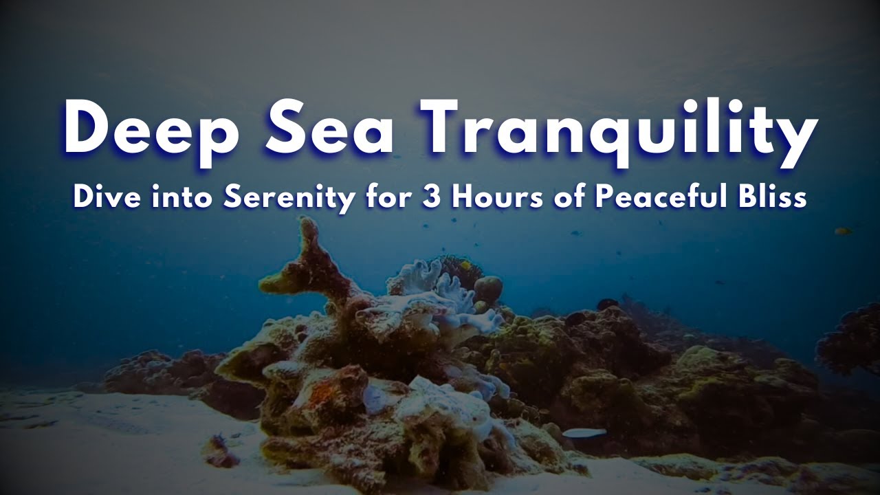 Deep Sea Tranquility | #positivevibes #calmmusic - YouTube