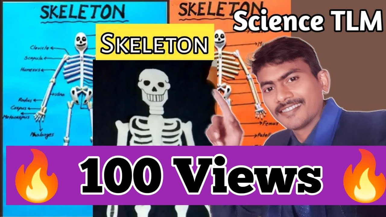 Skeleton Project 2024 😱 | How To Make Skeleton Project | Science TLM ...