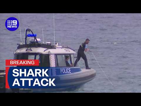 Fatal shark attack off popular Perth beach | 9 News Australia