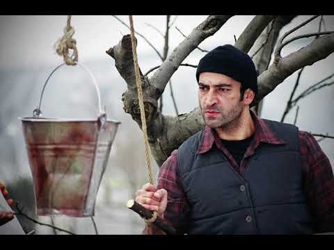 موسيقى دموع الورد Aci Hayat müziği