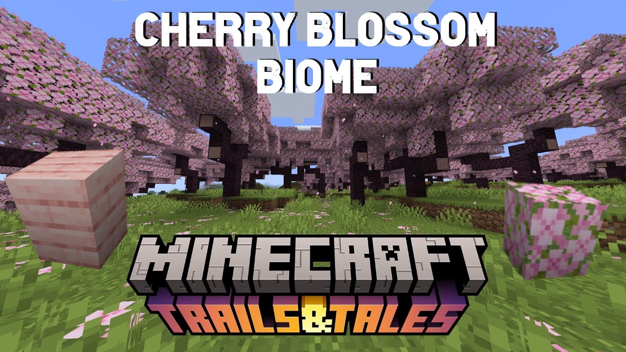 Exploring Cherry Blossom Biome in MineCraft 1.20 Update - YouTube
