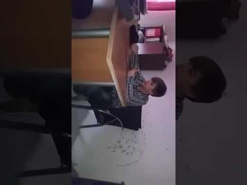 Amatör sesden müthiş performans (Antep'in elinde bir zalim vaar)