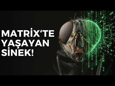 İnsan Ruhu Bir Çipe Yüklenebilir mi? Bilim Tehlikeli Bir Sınırı Zorluyor
