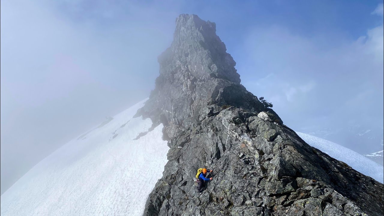 The Defendant - YouTube