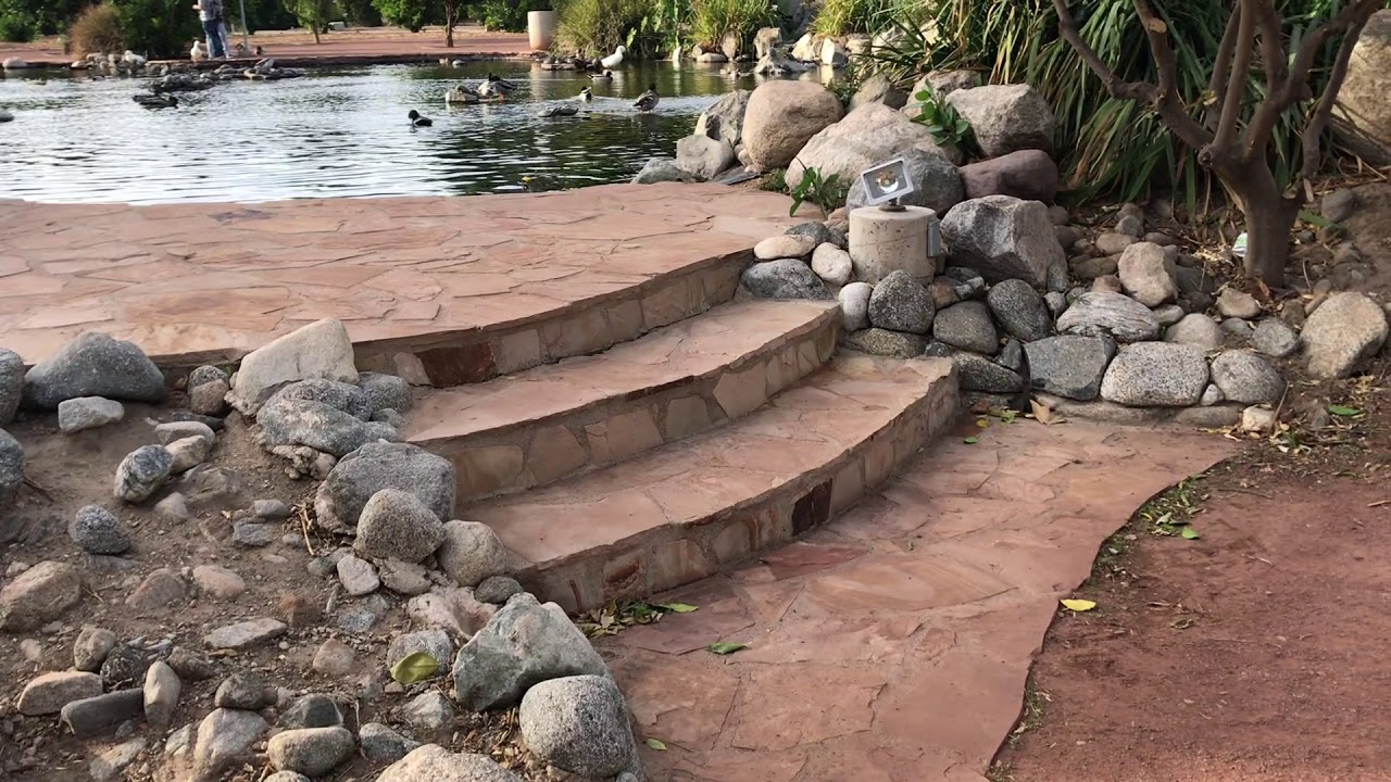 Relax with us! At the CSUN Duck Pond!