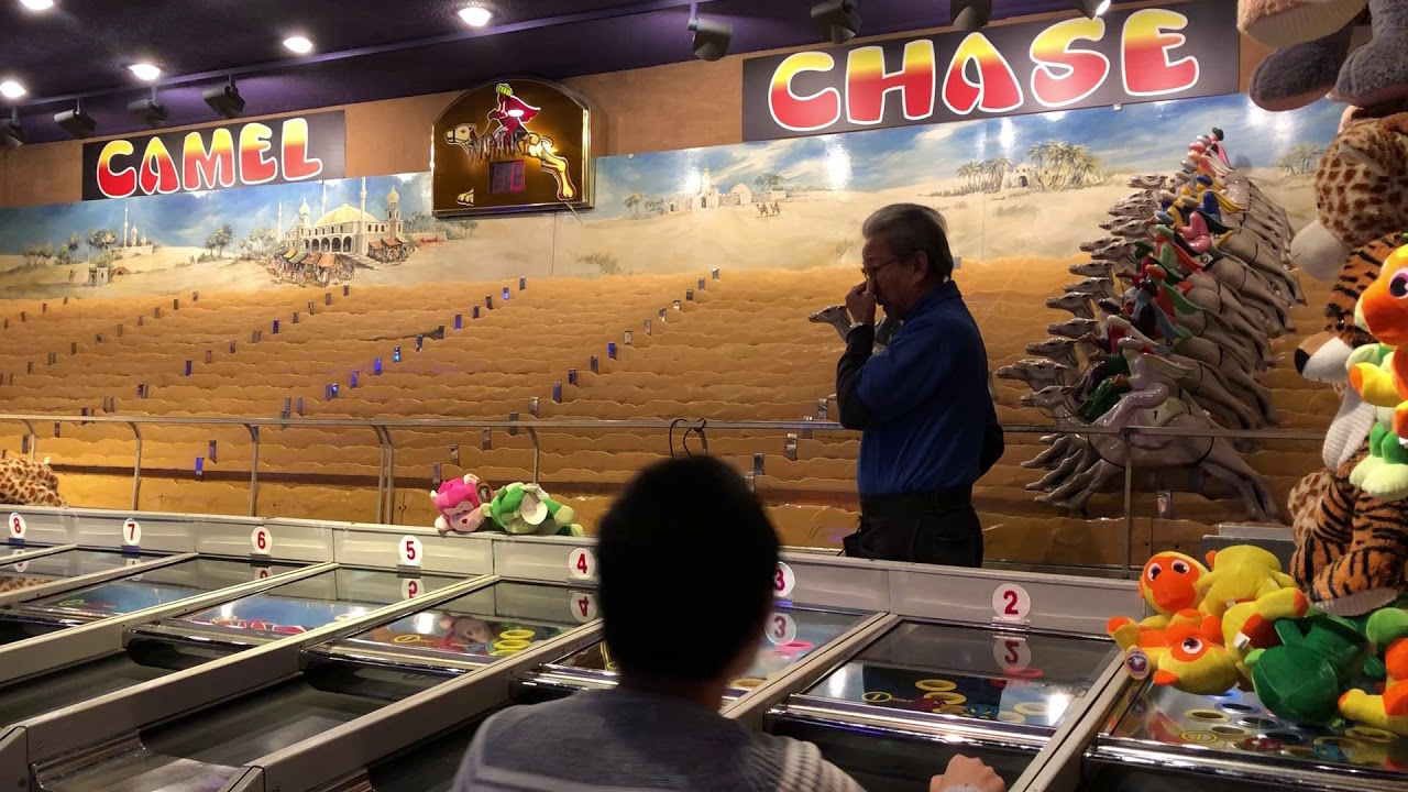 Camel racing game in Las Vegas - YouTube