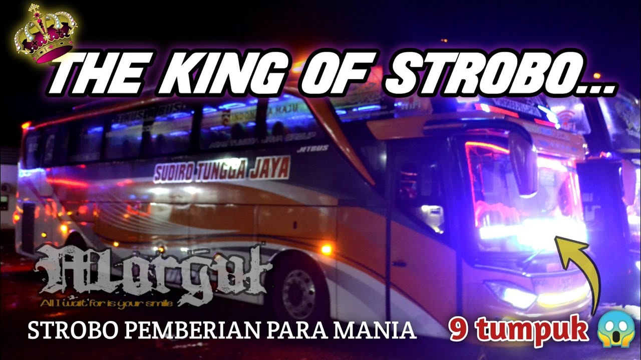KING OF STROBO 😱 || STJ MORGUL FULL VARIASI 9TUMPUK STROBO - YouTube