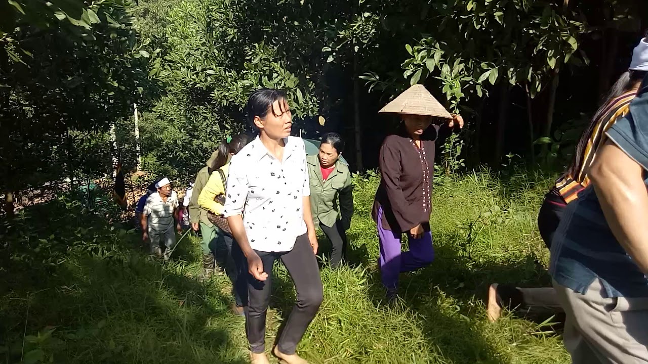 nhac hieu suoi khac hop tien - YouTube