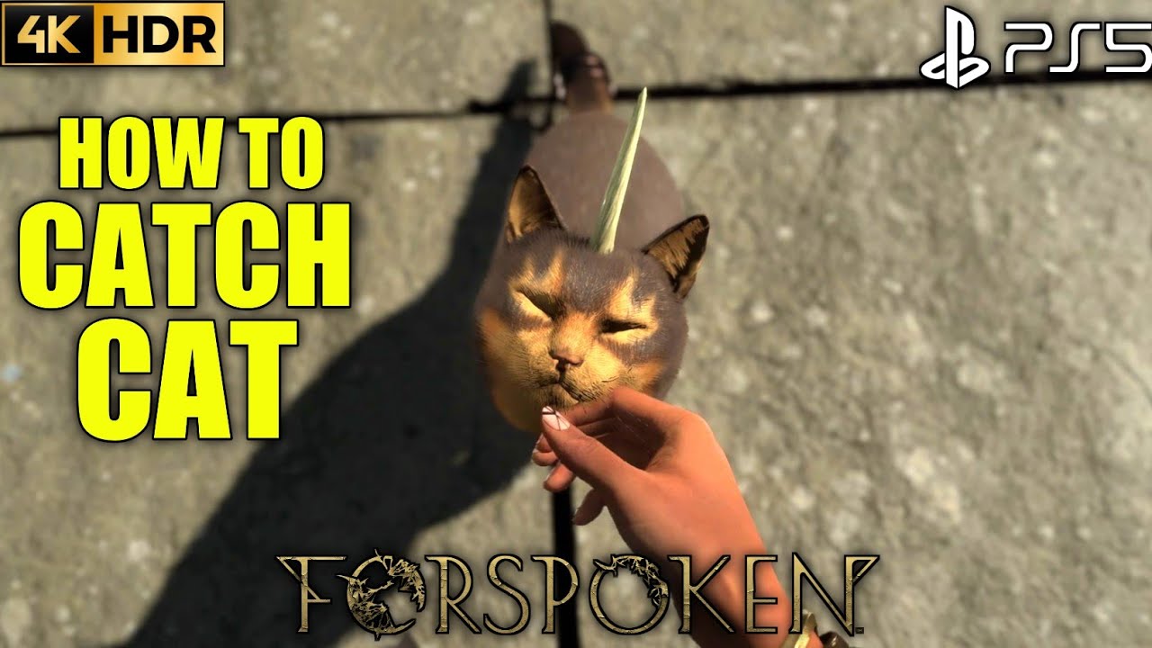 How to Catch Cat FORSPOKEN Tantas Familiar Monument | Forspoken Cat ...
