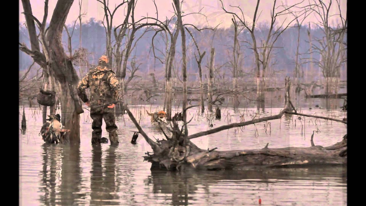 The Hageman Reserve January 2011 3 - YouTube