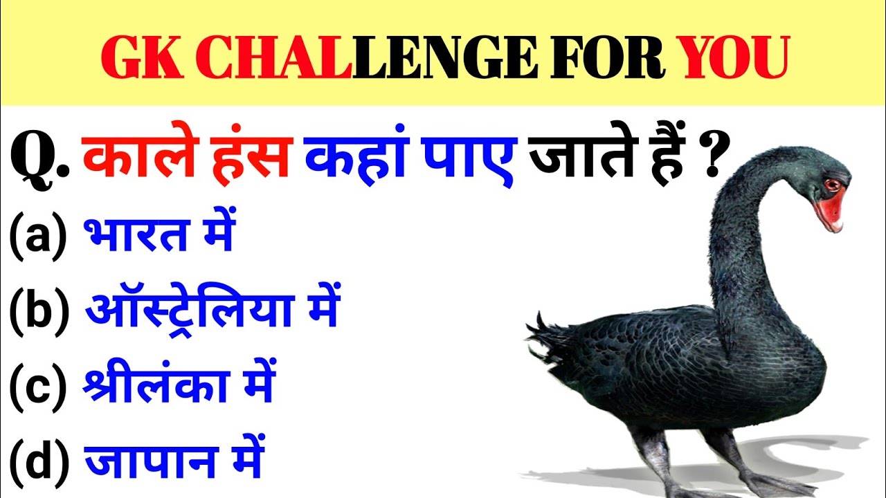 GK Question || GK In Hindi || GK Questions Answer || GK Quiz || GK For Kids || Let's Learn GK ...