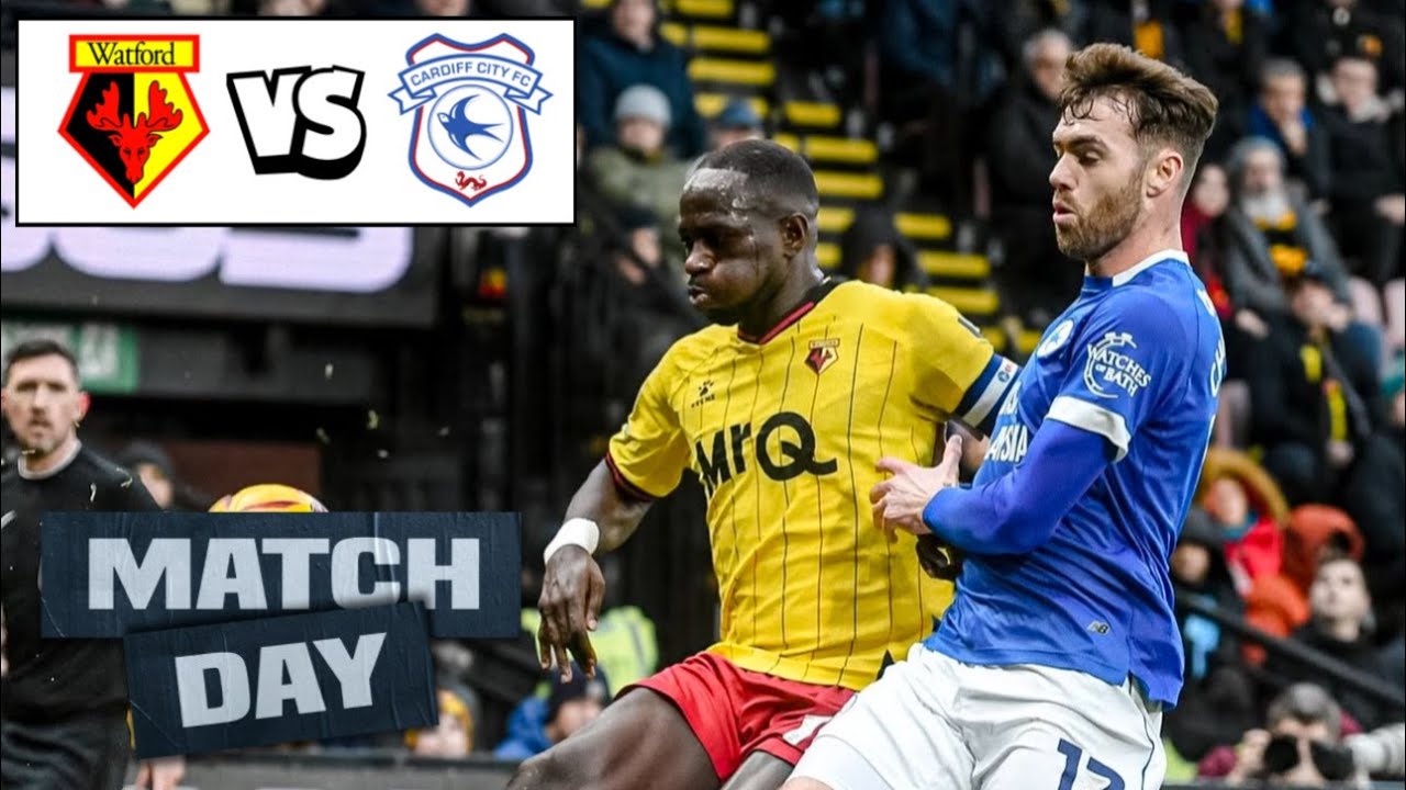 WATFORD FIRST HOME DEFEAT OF THE SEASON | watford vs cardiff city match ...