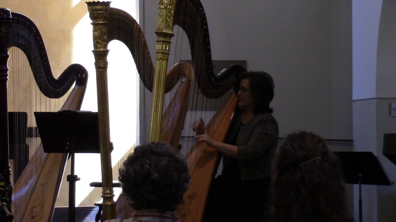 Laura Logan Brandenburg plays Harp of the Western Wind - YouTube
