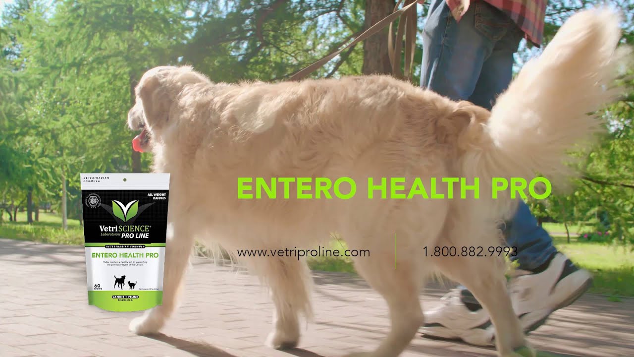 Entero Healthy Pro. A new hope for pets with recurring diarrhea. - YouTube