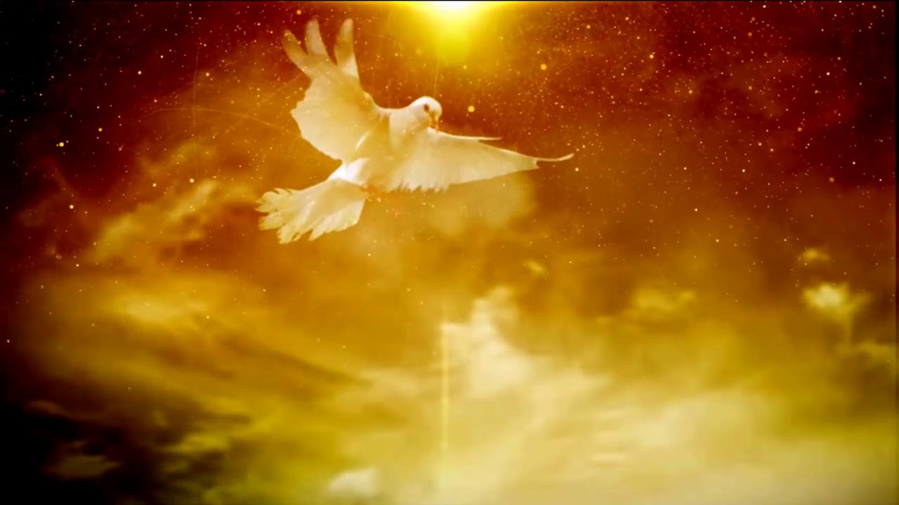 Holy Spirit in a form of Dove video background loop 1080p Full HD - YouTube