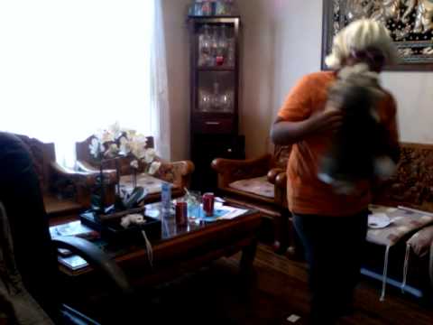 Retard dancing by: Brandon Sisamouth - YouTube