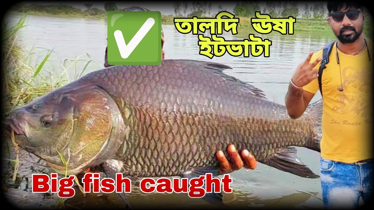 কি বড় মাছ ধরেছে ||big fish caught||তালদি উসা ইটভাটা - YouTube