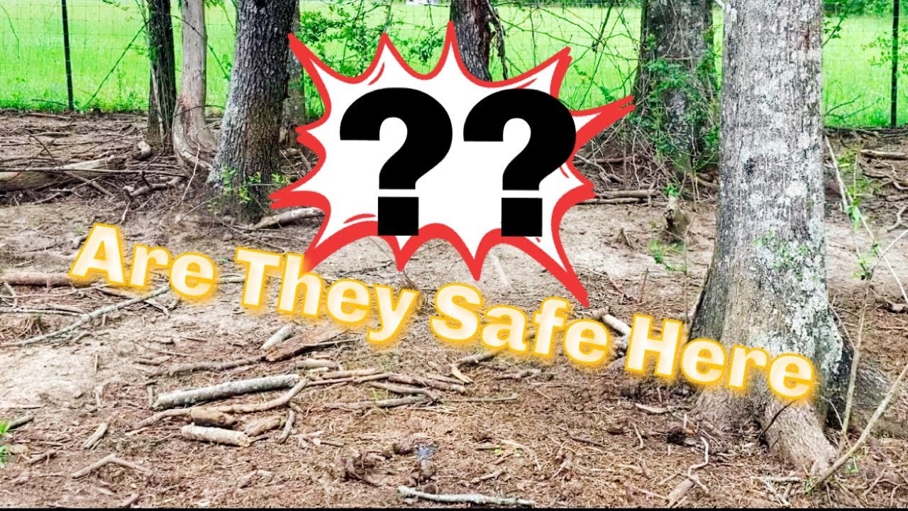 A Major DANGER Once THIS Happened - YouTube