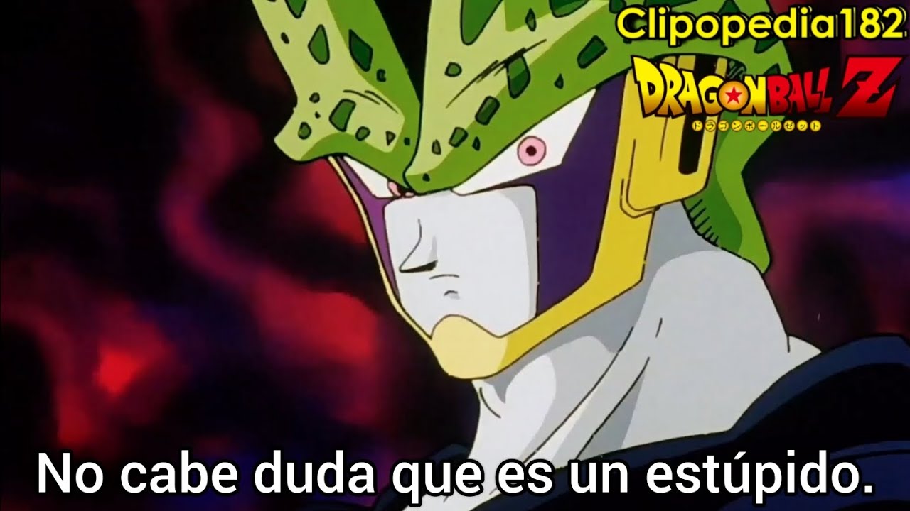 No cabe duda que es un estúpido en HD - YouTube