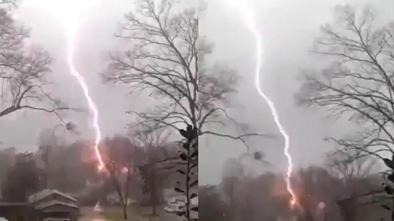 Lightning Strike Hits Tree In Neighbourhood - YouTube