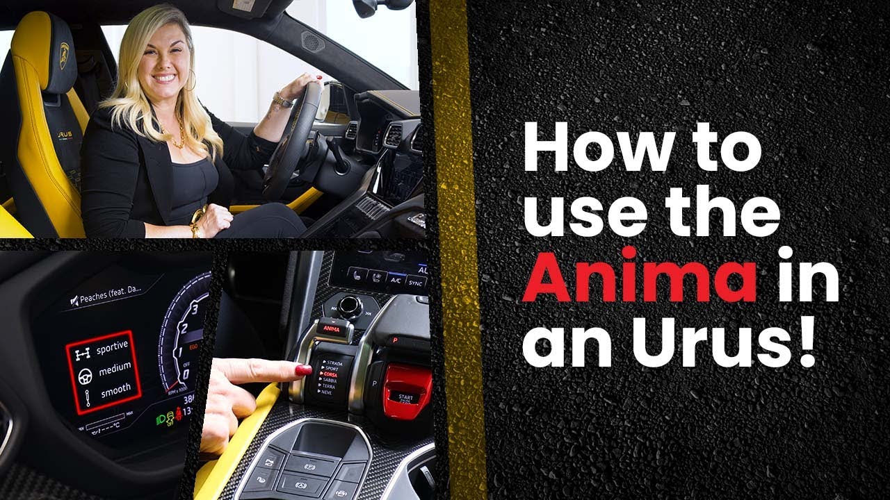 How To Use The Anima Settings In My Lamborghini Urus! - YouTube