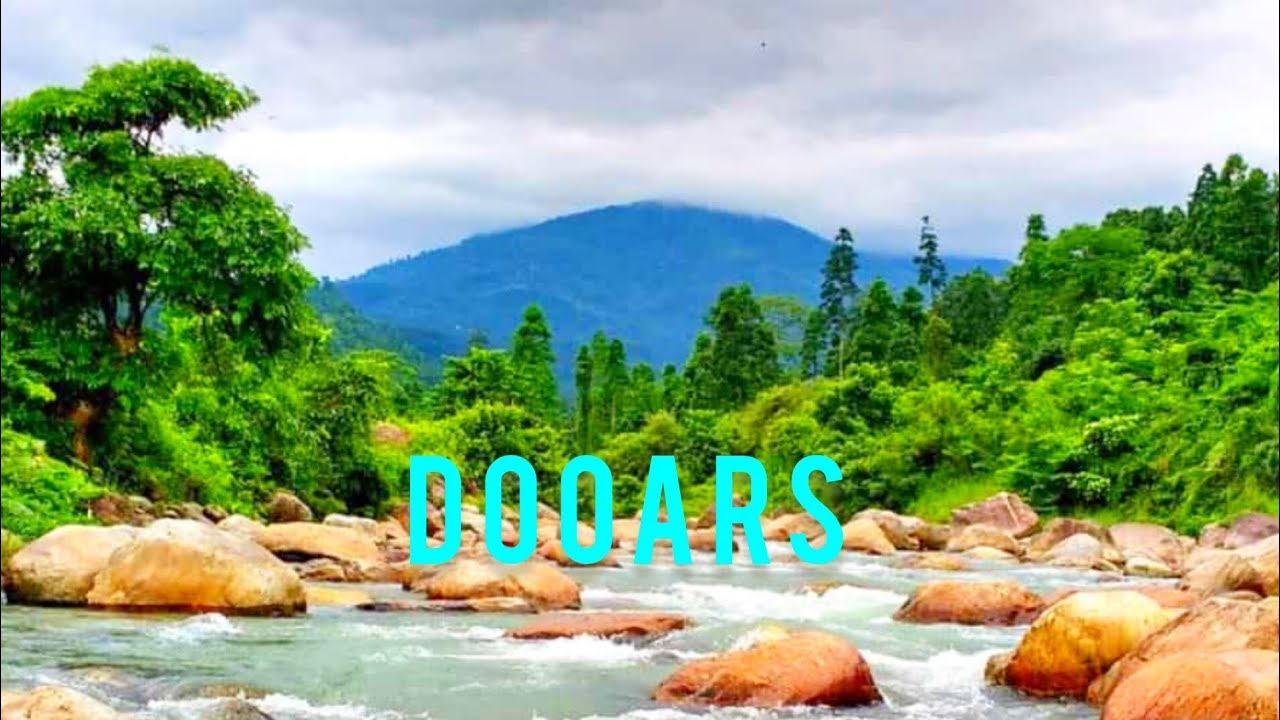 Dooars WB INDIA 🇮🇳 - YouTube