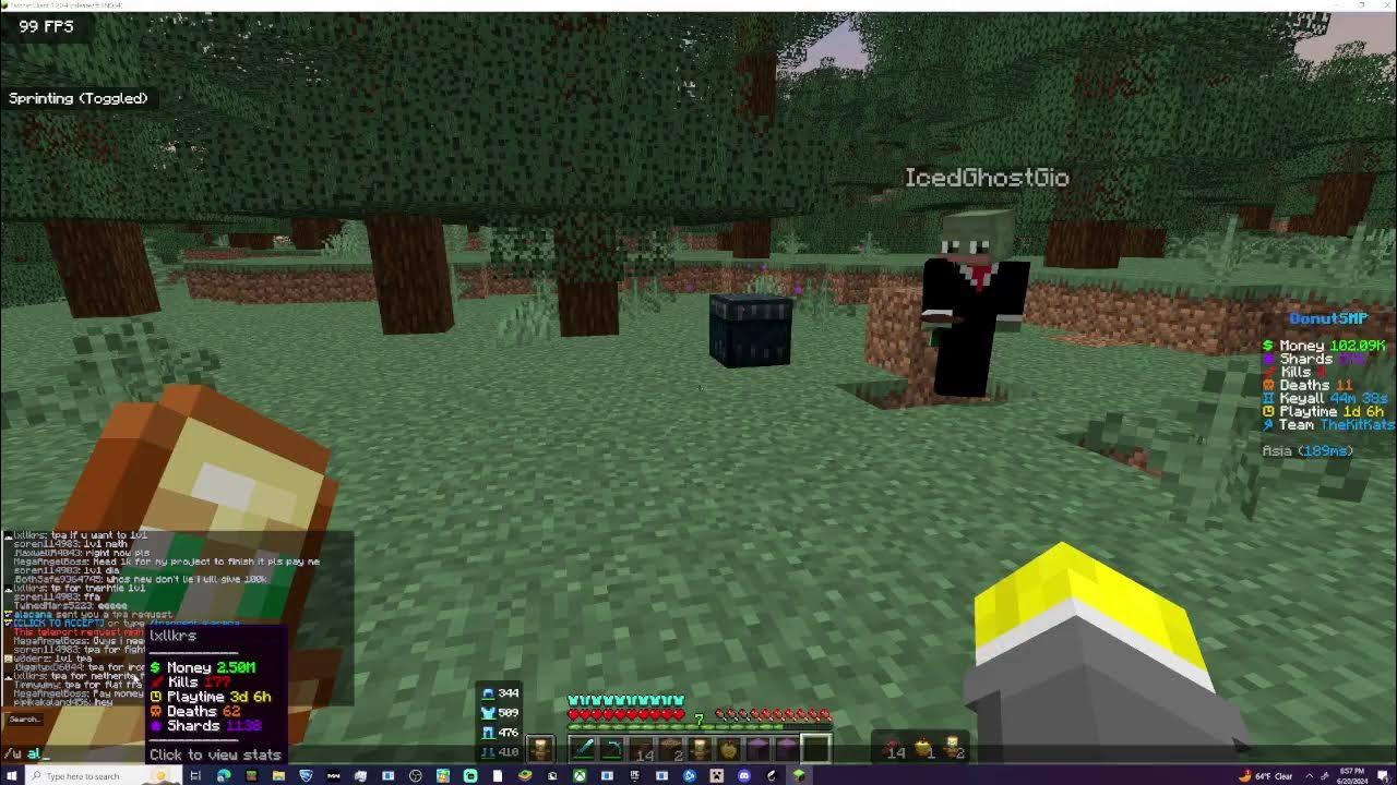 MInecraft on Donut SMP IP: donutsmp.net join up and have fun!!!! - YouTube