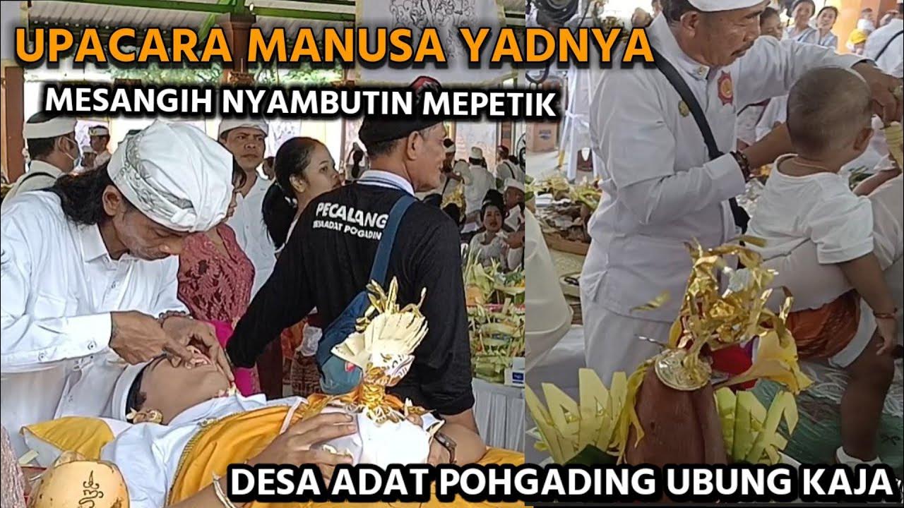 Upacara manusa yadnya|| Nyurud ayu - Mesangih Nyambutin lan mepetik 2023 - YouTube