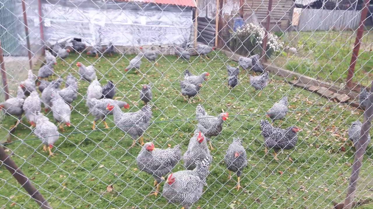 Amrox Tešedikovo 1 - YouTube