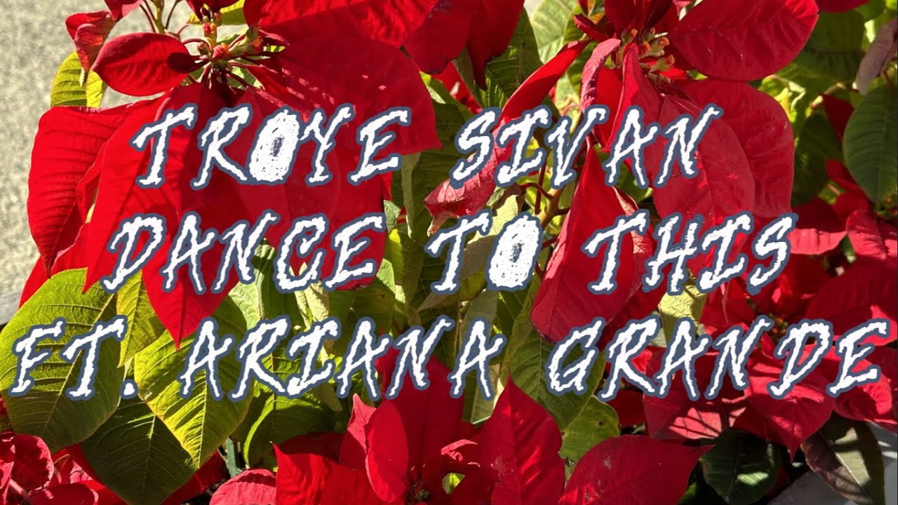 Troye Sivan - Dance To This ft. Ariana Grande #musichits #213 - YouTube