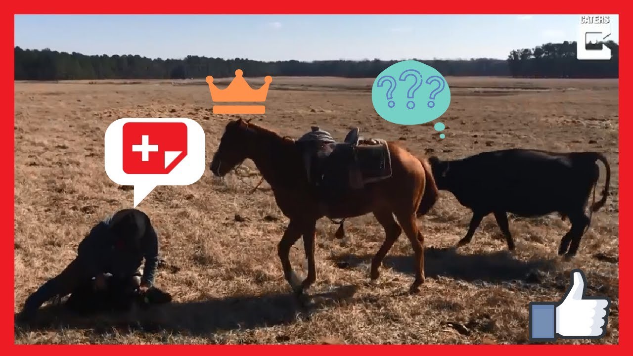 Protected Animal d:-) Phinoy Thop - YouTube