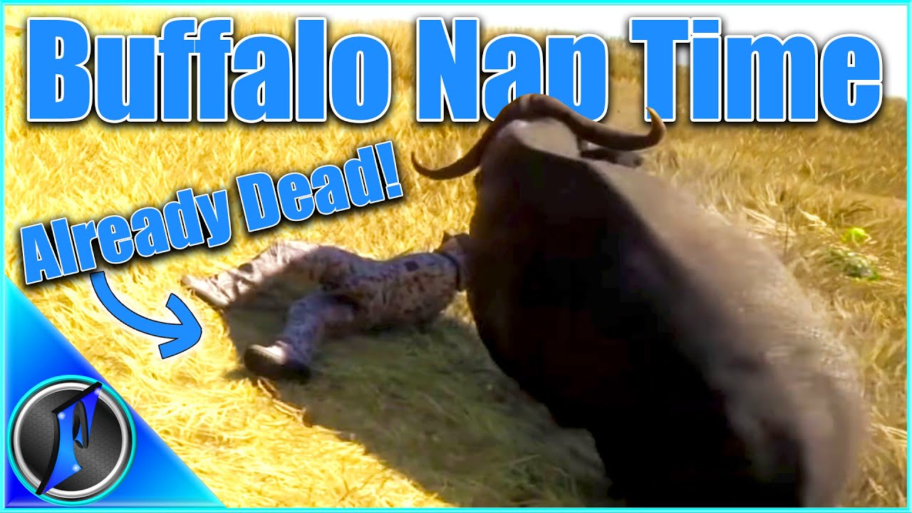 When 6 Cape Buffalo Charge You! ... But They're Actually Just Tired 😂 ...