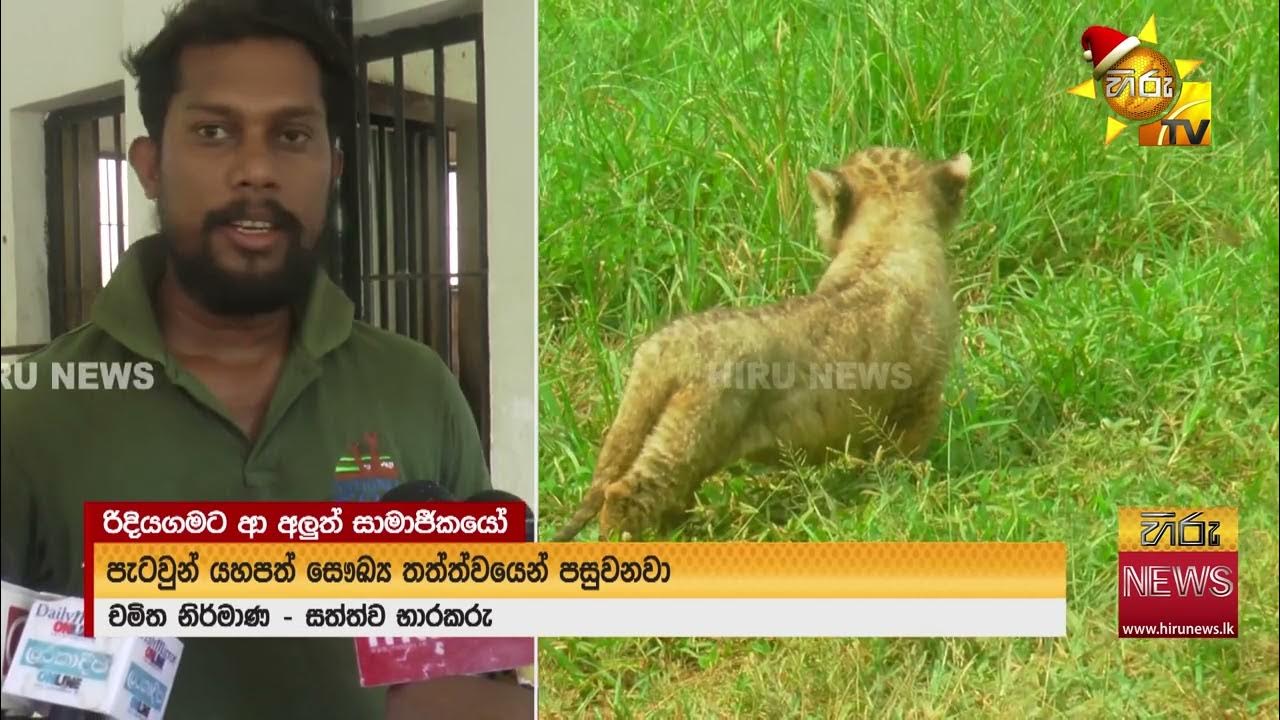 එකවර මව් පදවිය ලැබූ මව සහ දියණිය Hiru News Youtube