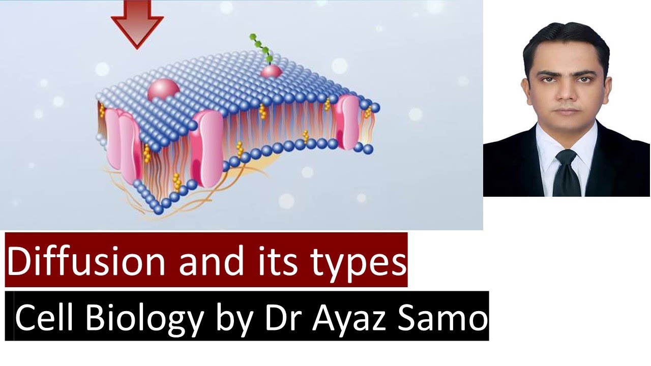 Diffusion and its types | Dr Ayaz Samo - YouTube